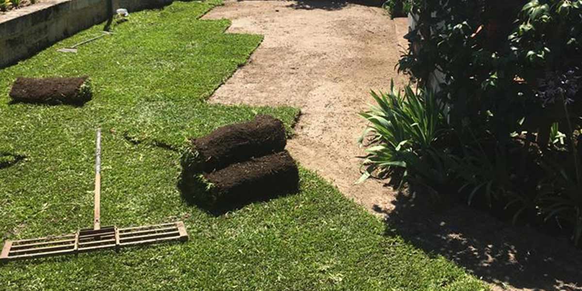 New Lawn Installations | Lawn Care, Lawn Maintenance | The Lawncare Man ...