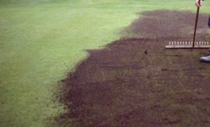 Top Dressing Lawn Services Perth | The Lawncare Man